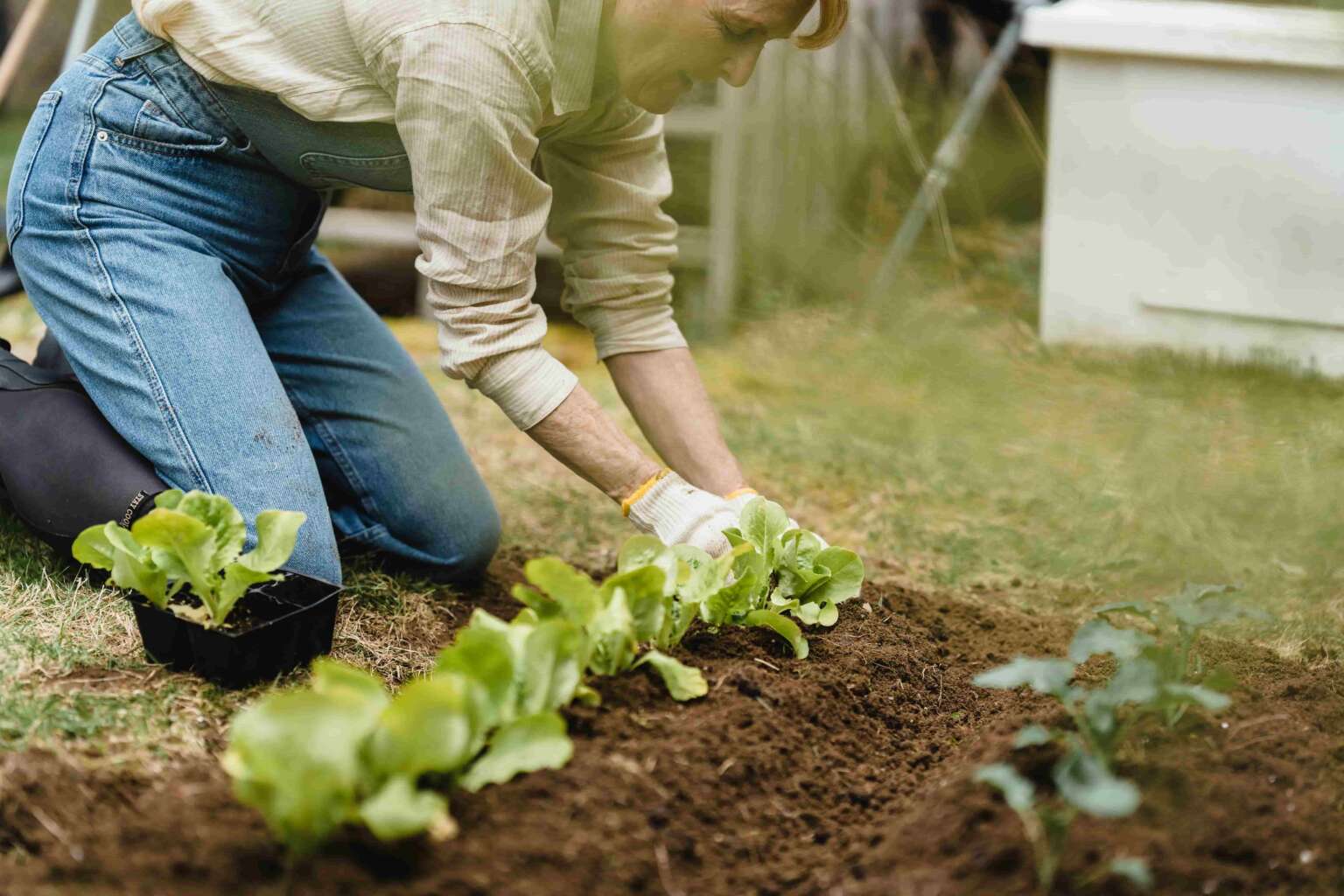 What Is a Horticulturist? Job Description & Tips for Becoming One